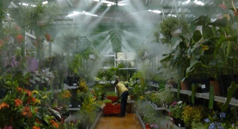 Greenhouse Misting System – Greenhouse Gardening Tips